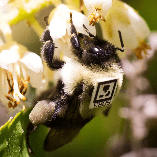 QR コードを配置する 7 つのクリエイティブな場所